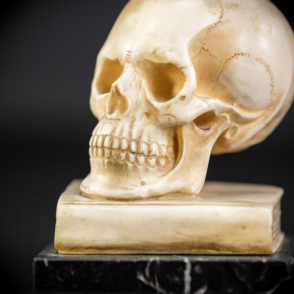 Memento Mori | Antique Carved Alabaster Skull – Antiques Heaven